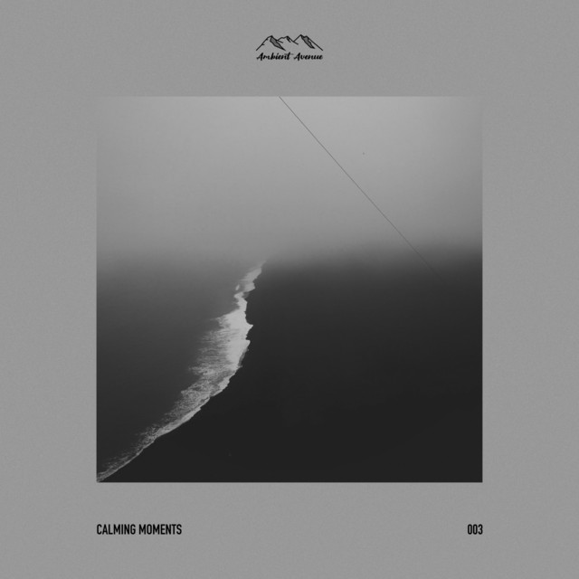 Calming Moments 003 - Compilation by Various Artists | Spotify