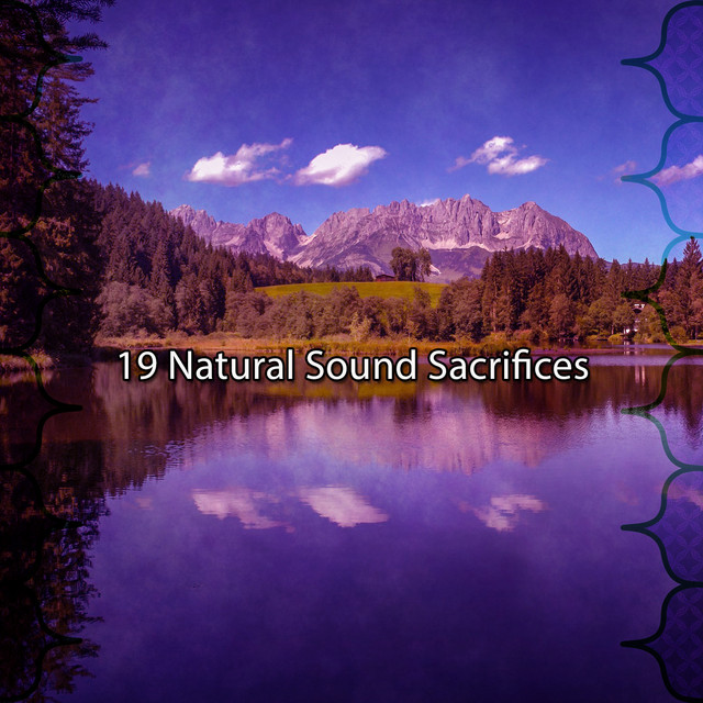 19 Natural Sound Sacrifices - Album by Nature Sounds Artists | Spotify