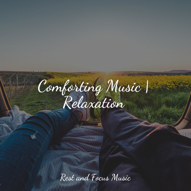 Comforting Music | Relaxation - Album by Especialistas de Musica para ...
