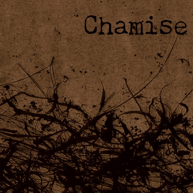 Demo EP - EP by chamise | Spotify