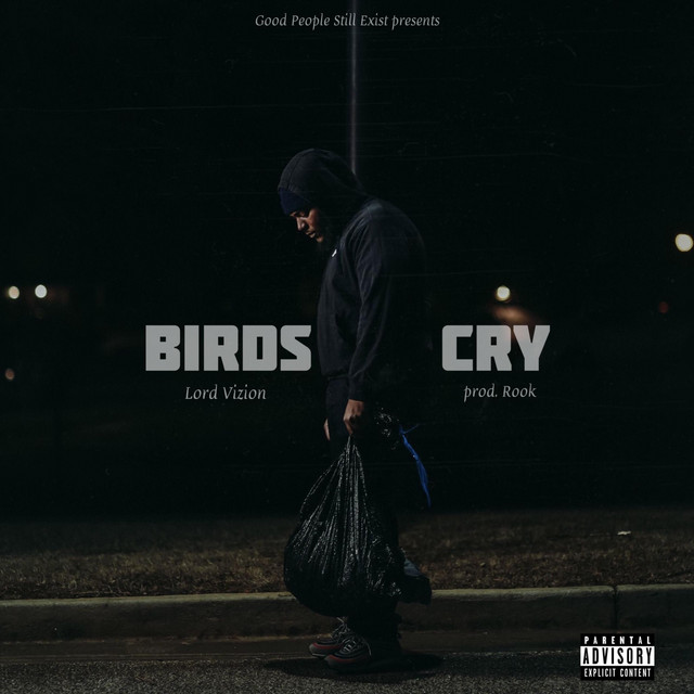 Birds Cry - Single by Lord Vizion | Spotify