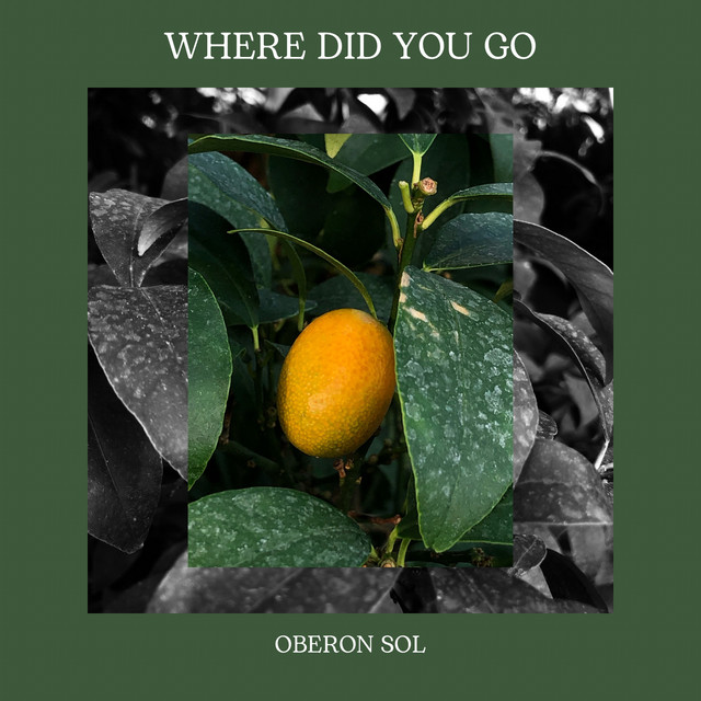 Where Did You Go - Single by Oberon Sol | Spotify