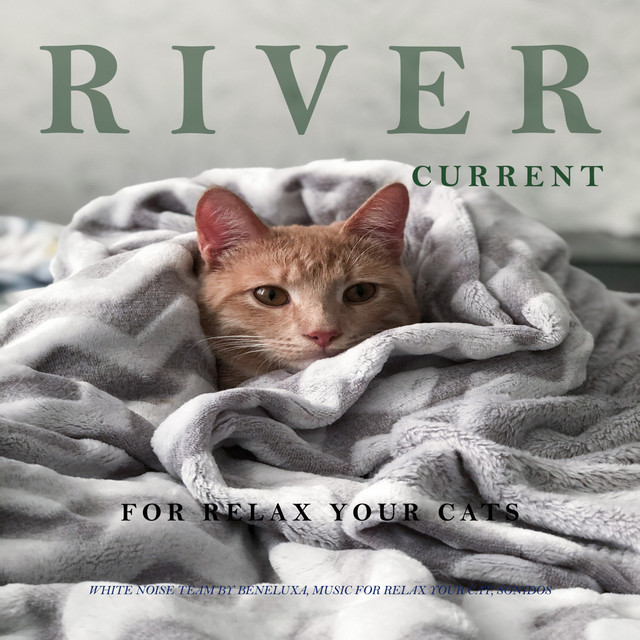 River Current for Relax Your Cats - Album by White Noise Team by ...
