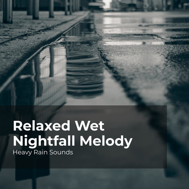 Relaxed Wet Nightfall Melody - Album by Heavy Rain Sounds | Spotify