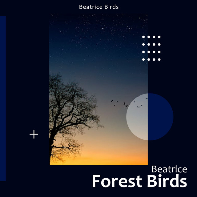 Beatrice Forest Birds - Album by Beatrice Birds | Spotify