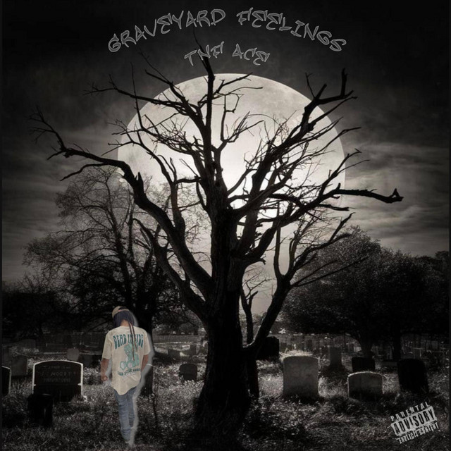 Graveyard Feelings - Single by TNF Ace | Spotify