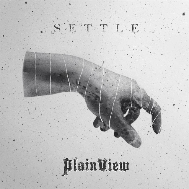Settle - song and lyrics by Plainview | Spotify