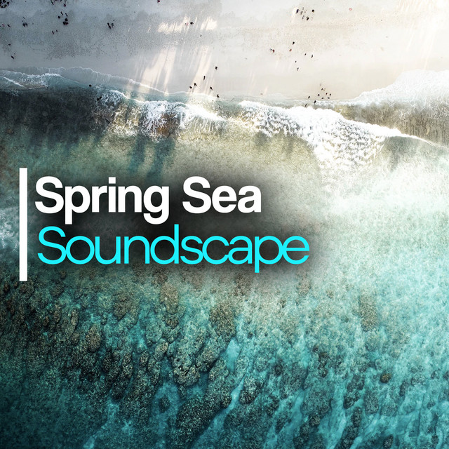 Spring Sea Soundscape ! ! ! ! - Album by Sea Nature Players | Spotify