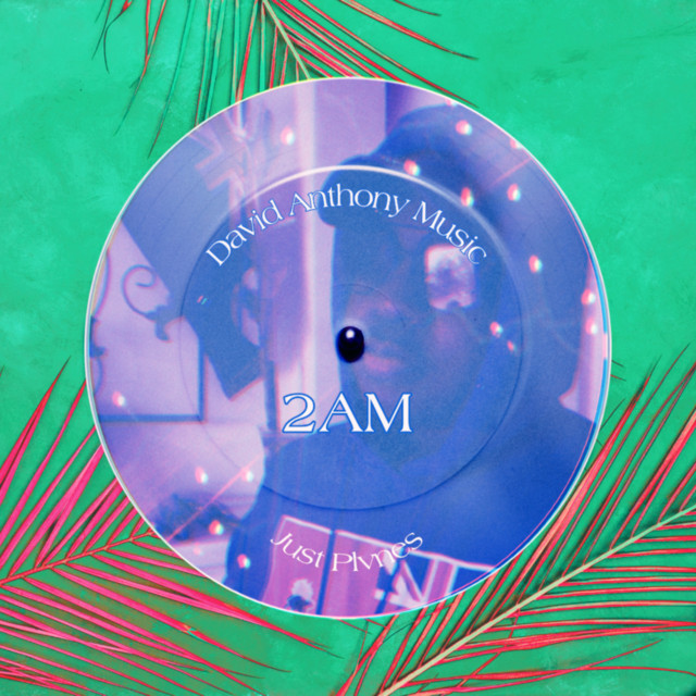 2AM by David Anthony Music, Just Plvnes
