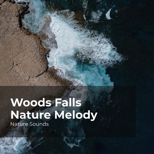 Woods Falls Nature Melody - Album by Nature Sounds | Spotify