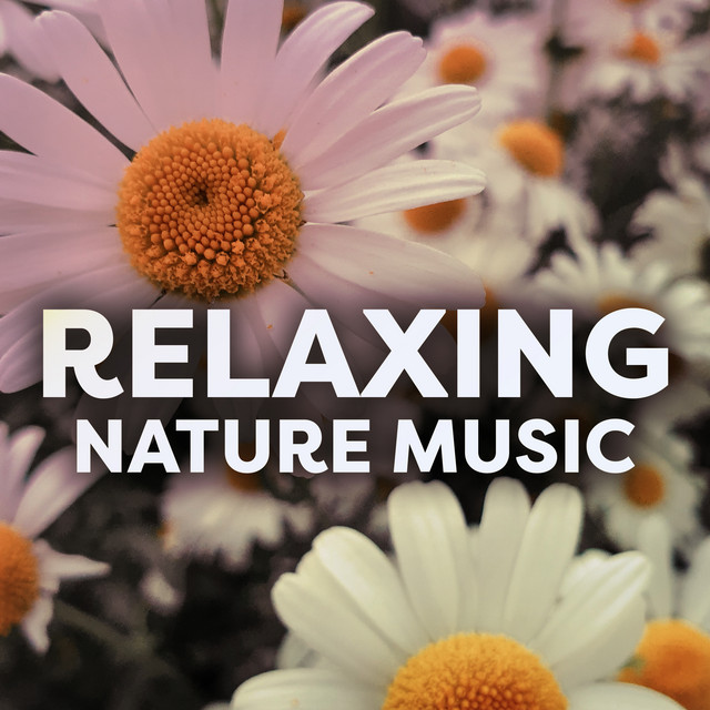 Wake Coastline - song and lyrics by Relaxing Music with Nature Sounds ...