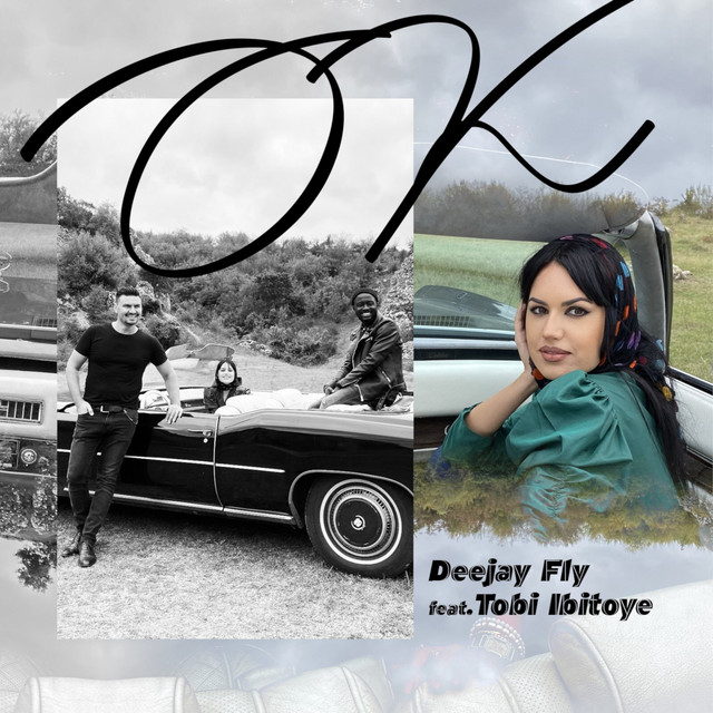 OK (feat. Tobi Ibitoye) - Single by Deejay Fly | Spotify