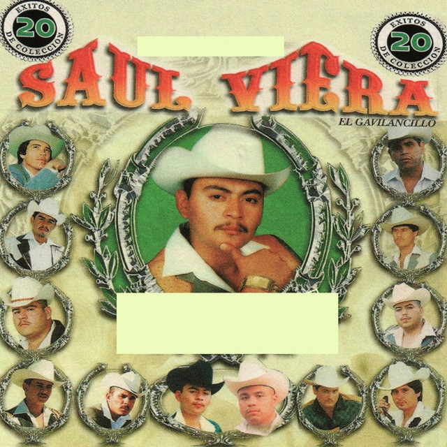 Flor De Dalia - song and lyrics by Saul Viera El Gavilancillo | Spotify
