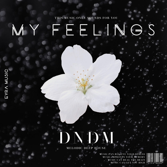 DNDM - My Feelings