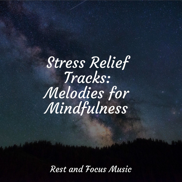 Stress Relief Tracks: Melodies for Mindfulness - Album by Sleep ...