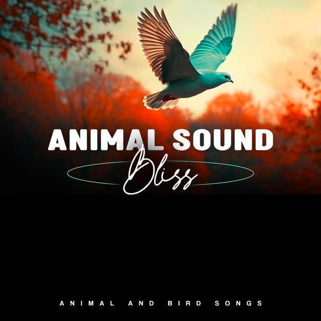 Animal Sound Bliss - Album by Animal and Bird Songs | Spotify