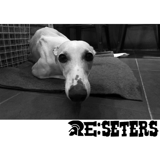 dog-song-and-lyrics-by-reseters-spotify
