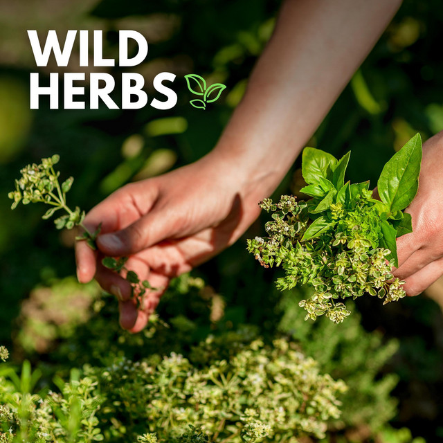 Wild Herbs - Album by Mother Nature Sound FX | Spotify