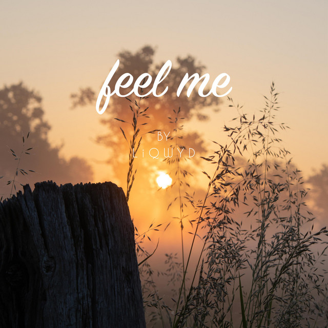 Feel me - song and lyrics by LiQWYD | Spotify