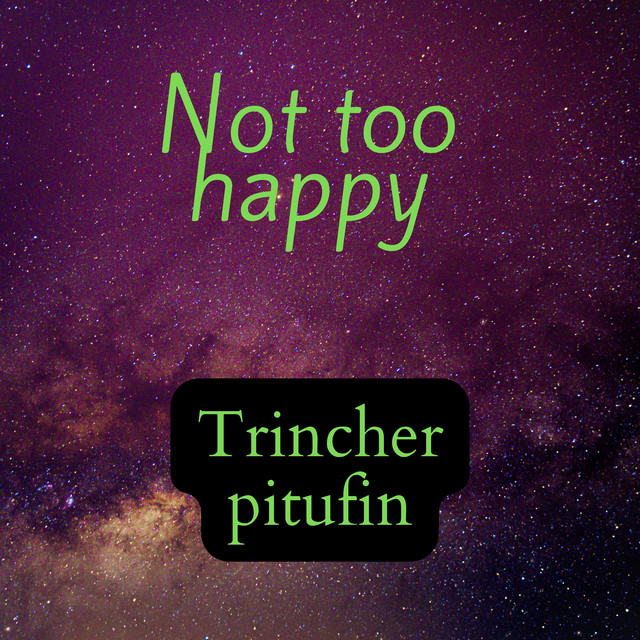 Not Too Happy - Album by Trincher pitufin | Spotify