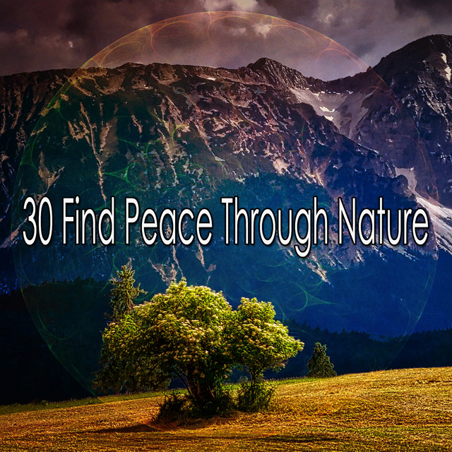 30 Find Peace Through Nature - Album by Ambient Forest | Spotify
