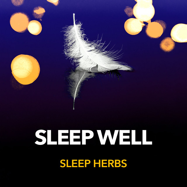 Sleep Well - Album by Sleep Herbs | Spotify