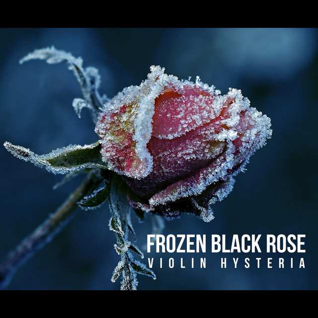 Violin Hysteria - Album by Frozen Black Rose | Spotify