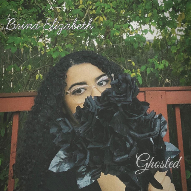 Ghosted - Single by Brina Elizabeth | Spotify