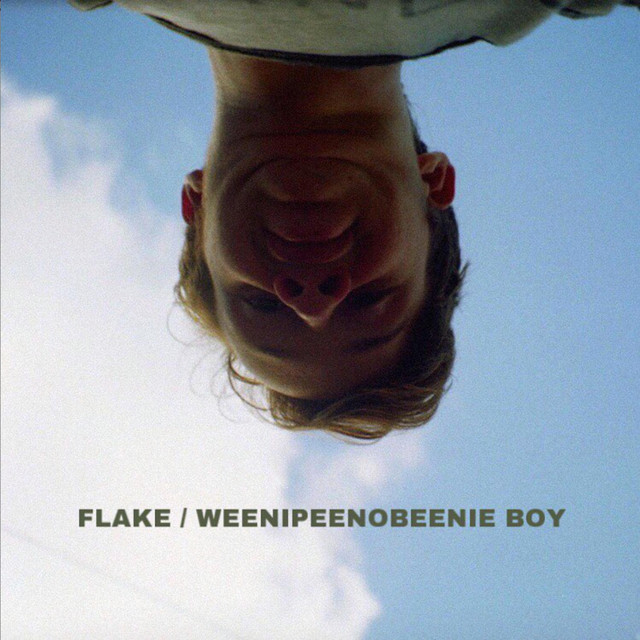 Flake / Weenipeenobeenie Boy - Single by Daniel Brooks | Spotify