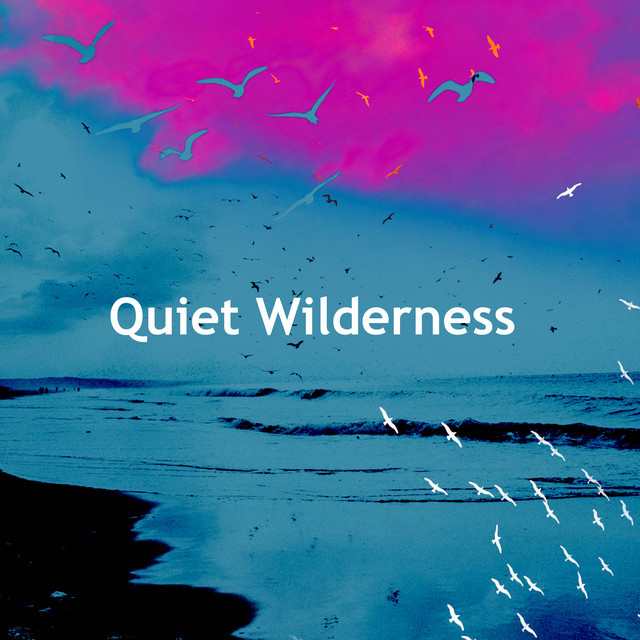 Quiet Wilderness - Album by Sound of the Wilderness | Spotify