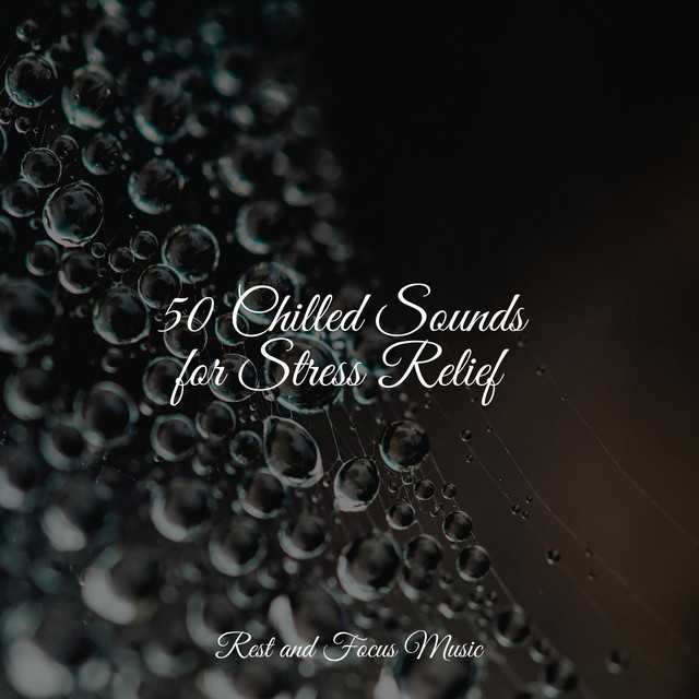50 Chilled Sounds for Stress Relief - Album by Study Music | Spotify