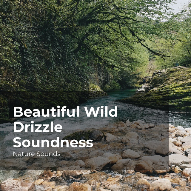 Beautiful Wild Drizzle Soundness - Album by Nature Sounds | Spotify