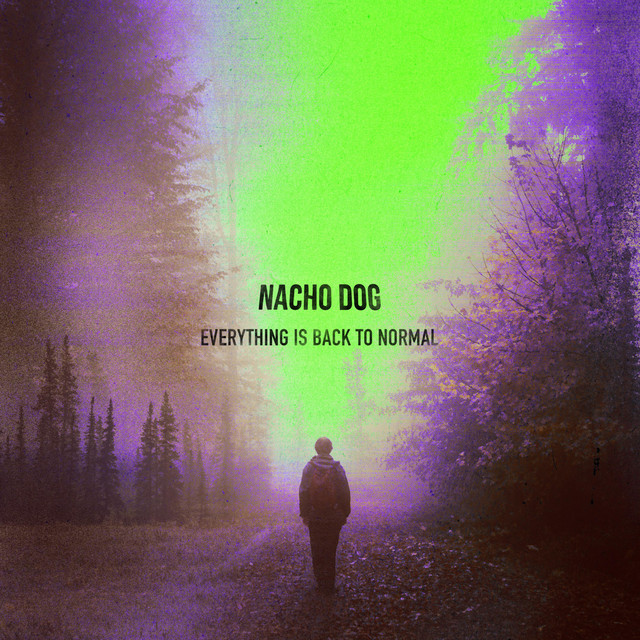 Everything is Back to Normal - Album by Nacho Dog | Spotify