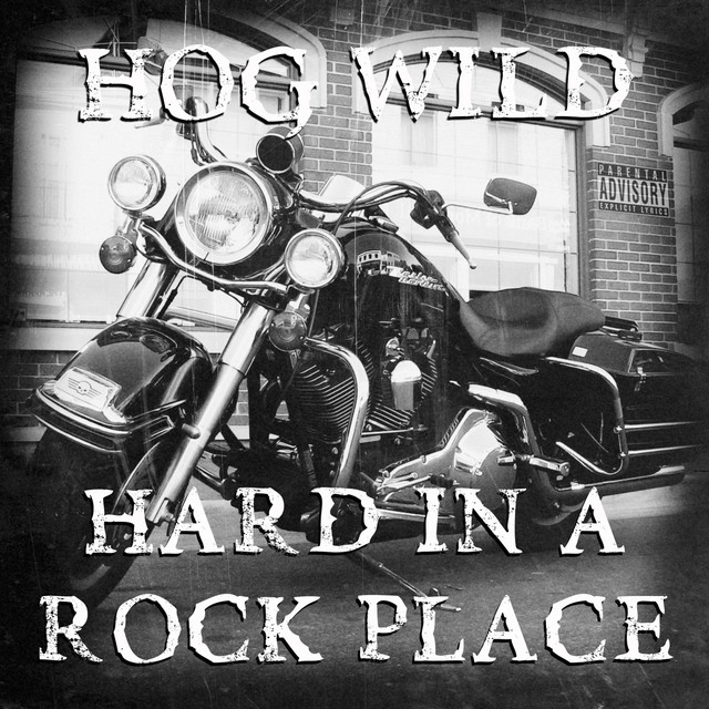 Hog Wild - song and lyrics by Hog Wild | Spotify
