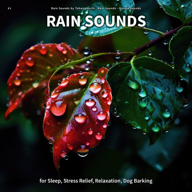 Pure Rain Sounds to Fall Asleep To - song by Rain Sounds by Taha ...