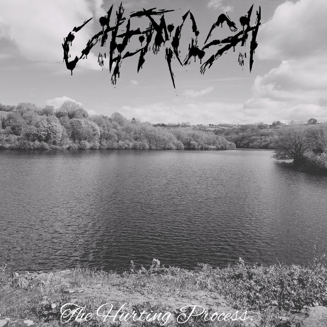 The Hurting Process - Single de Chemosh | Spotify