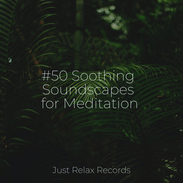 #50 Soothing Soundscapes for Meditation - Album by Musica Reiki | Spotify