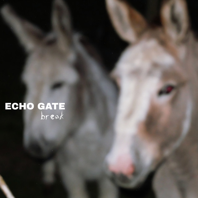 Echo Gate | Spotify
