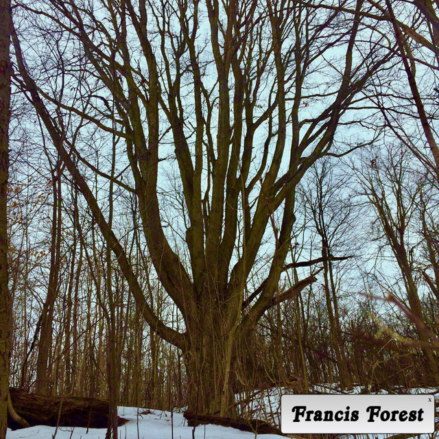 Francis Forest | Spotify