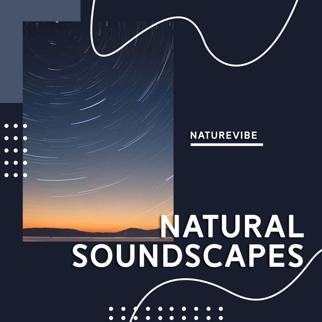 Natural Soundscapes - Album by Naturevibe | Spotify