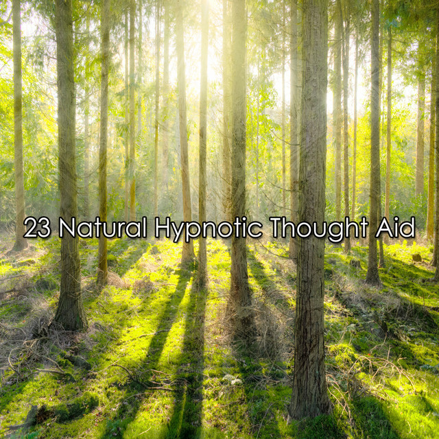 23 Natural Hypnotic Thought Aid - Album by Pro Sounds of Nature | Spotify