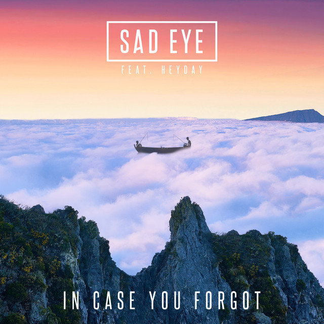 In Case You Forgot - Single by Sad Eye | Spotify