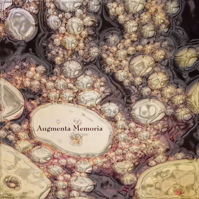 Augmenta Memoria - EP by Dean Sabatino | Spotify
