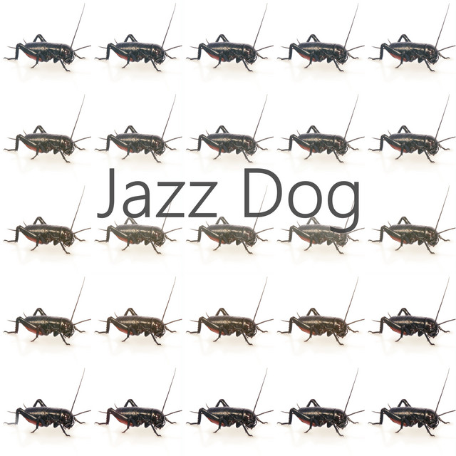 Crickets - Single by Jazz Dog | Spotify