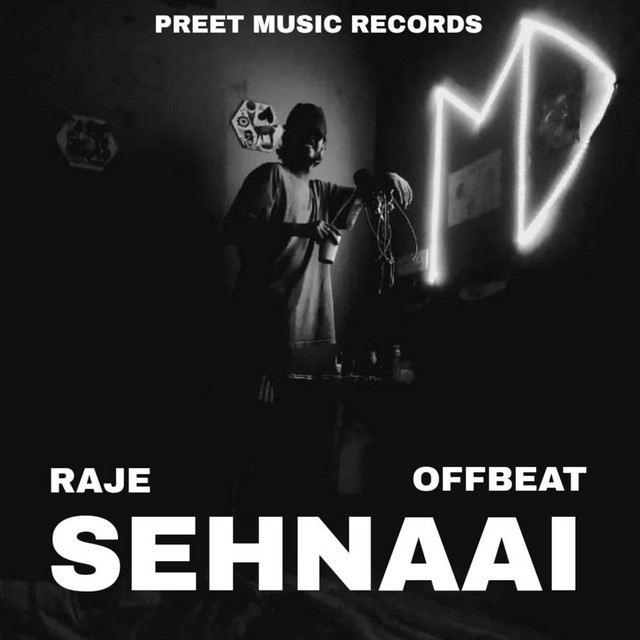 Sehnaai - Single by Offbeat | Spotify