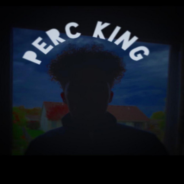 PERC KING - song and lyrics by SavvyFields | Spotify