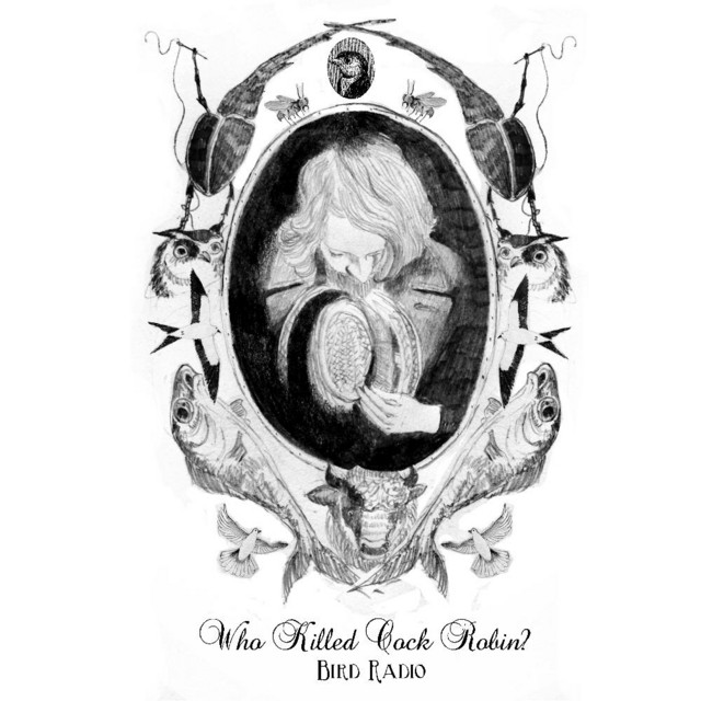 Who Killed Cock Robin? - song and lyrics by Bird Radio | Spotify