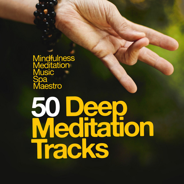 Seclude Yourself - song and lyrics by Mindfulness Meditation Music Spa ...