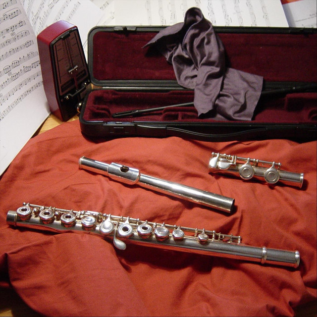 The Magic Flute Concert & Tour History | Concert Archives