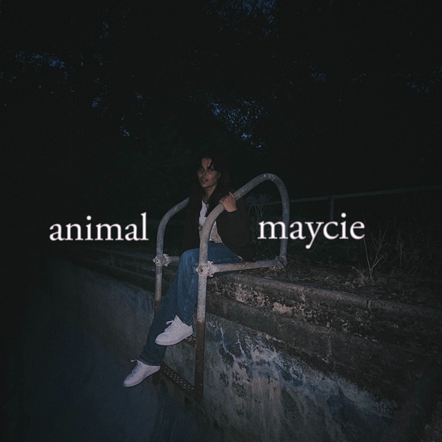 Animal – Single de Maycie | Spotify